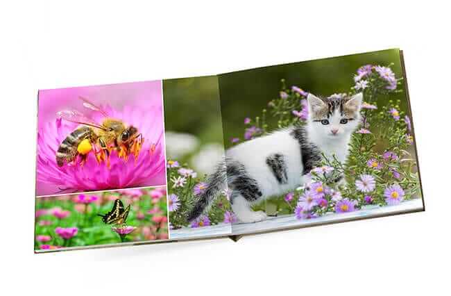 5 tips on making a flower photo book - Printique