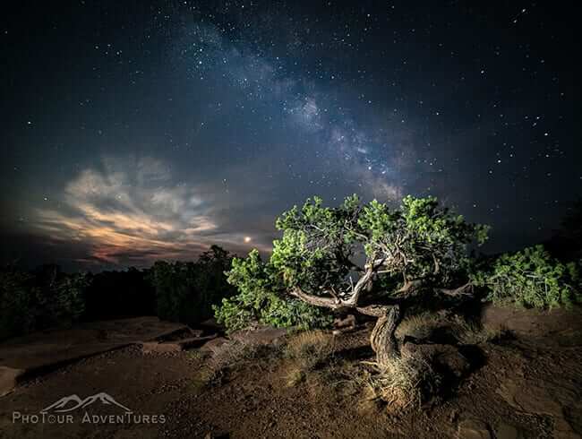 Instagram Pix Storyteller-Susan Magnano - Printique, An Adorama Company