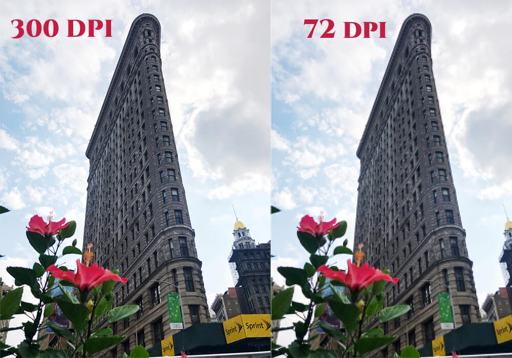 How to Enlarge Photos for Print - Printique, An Adorama Company