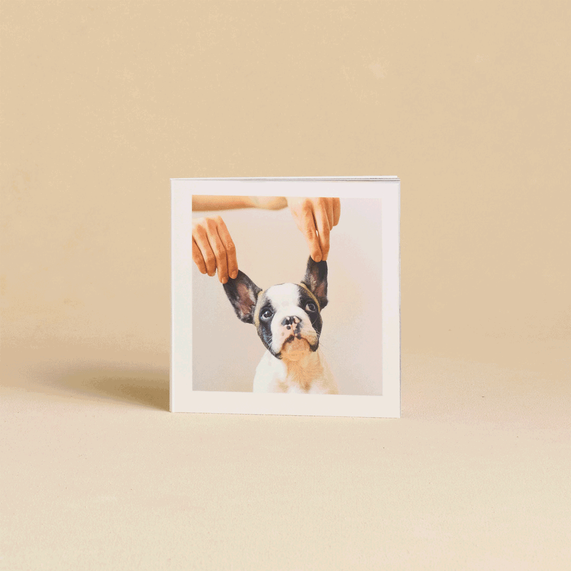 Mini Photo Books - Premium, Layflat, Small & Precious - Printique