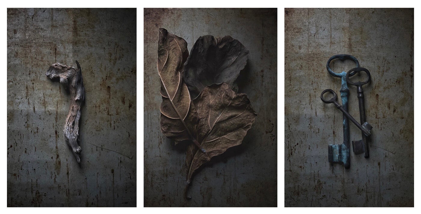 5 Everyday Objects Perfect for Fine Art Photo Prints - Printique