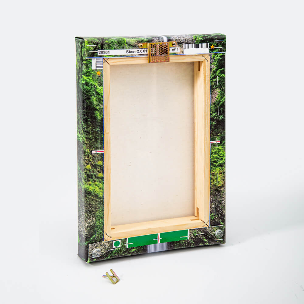 What is a Canvas Print - Printique, An Adorama Company