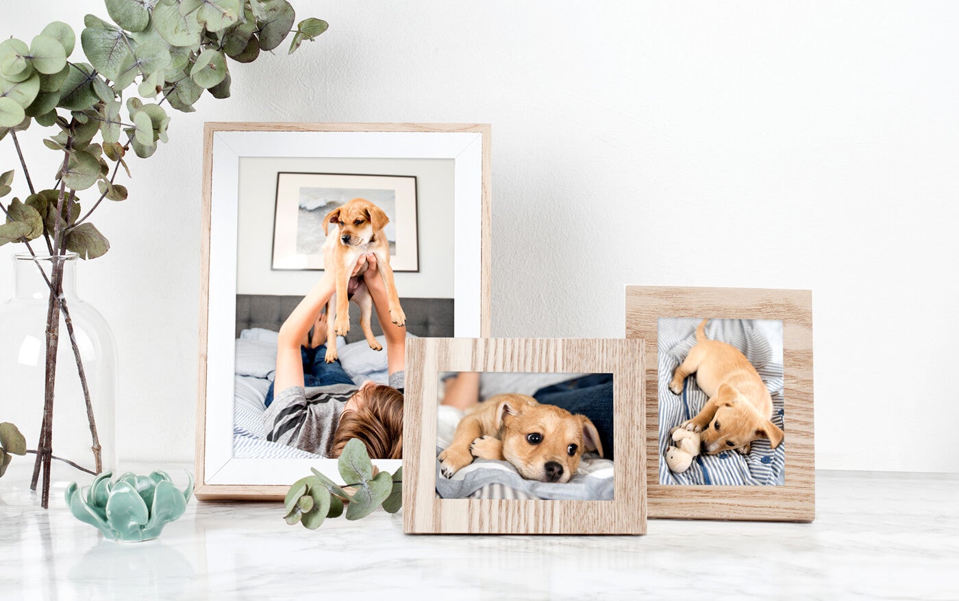 Your Guide to Framed Photographs - Printique, An Adorama Company