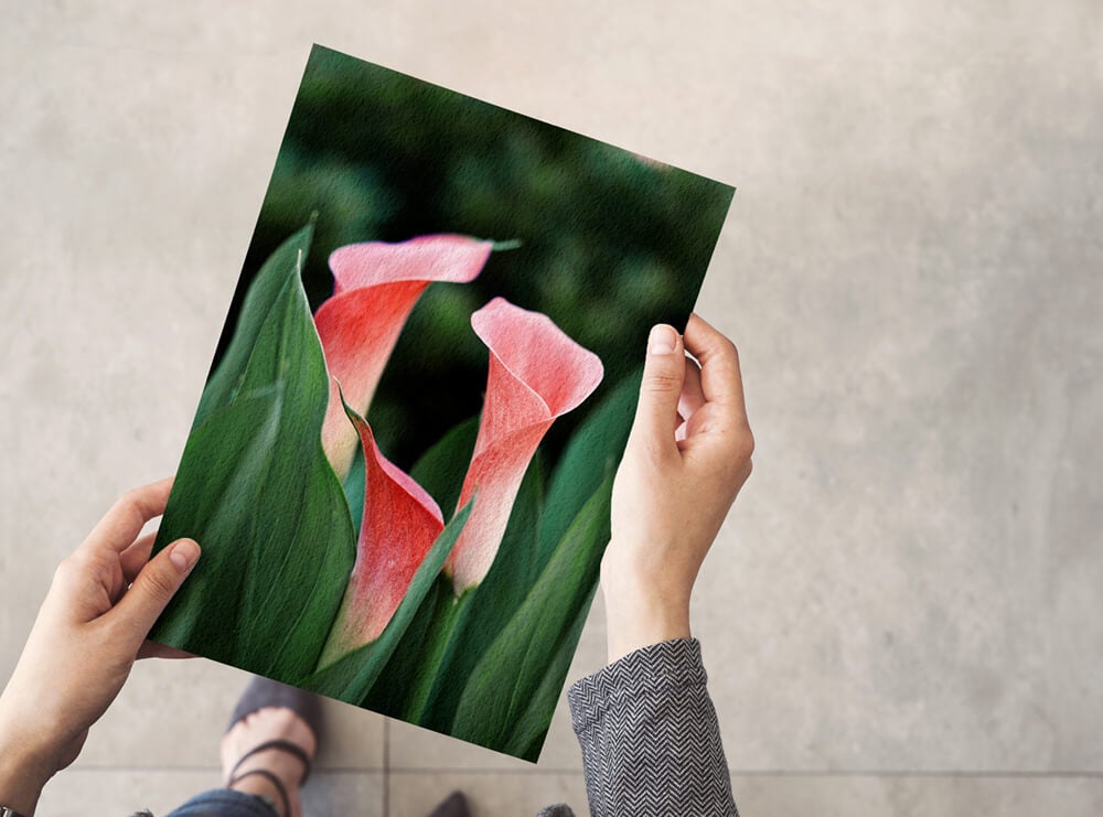 Guide to Giclee Prints (Fine Art) - Printique, An Adorama Company