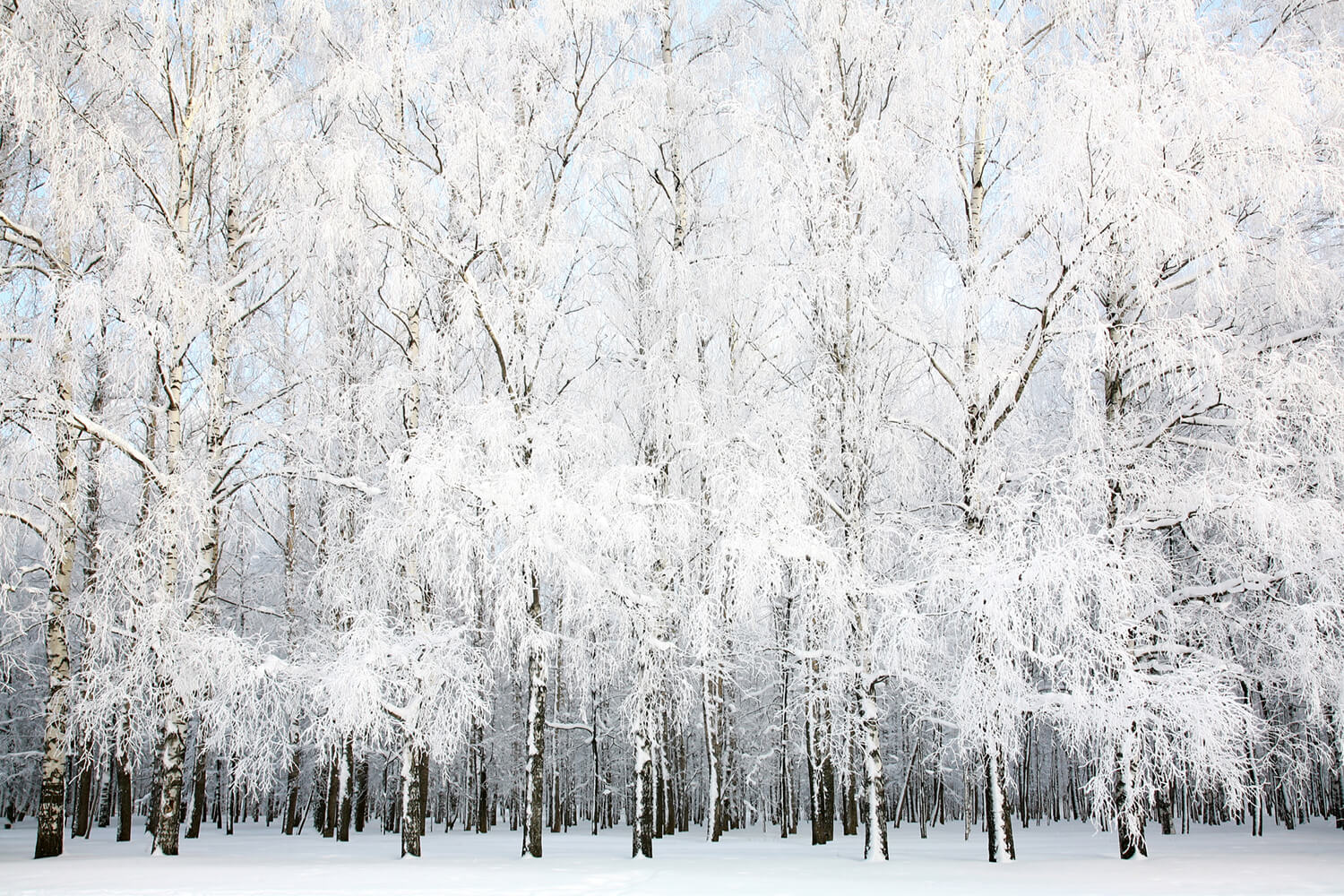 5 Must-Have Snow Day Photos - Printique, An Adorama Company