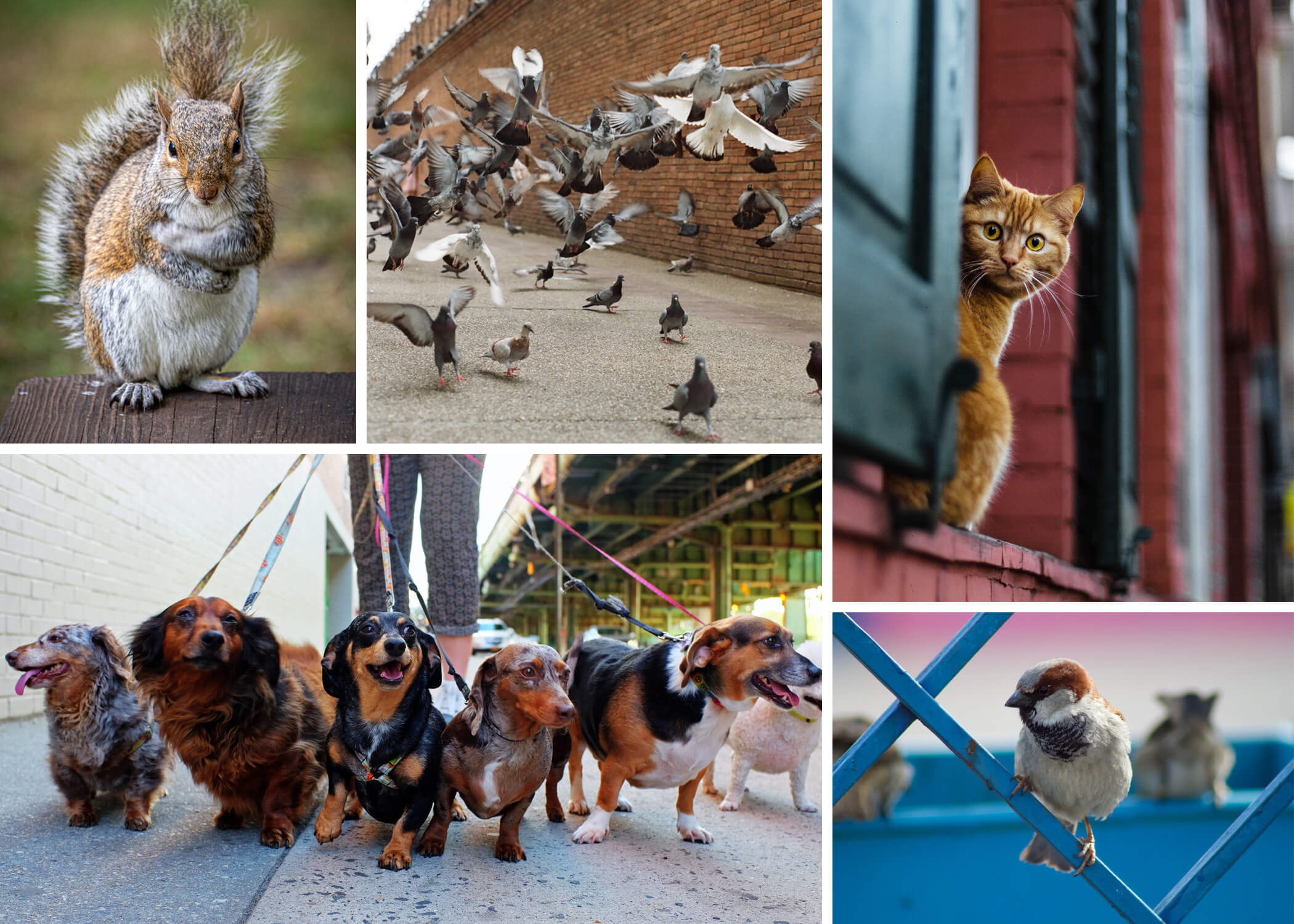 8 Must-Have Shots On Your Next City Trip - Printique, An Adorama Company