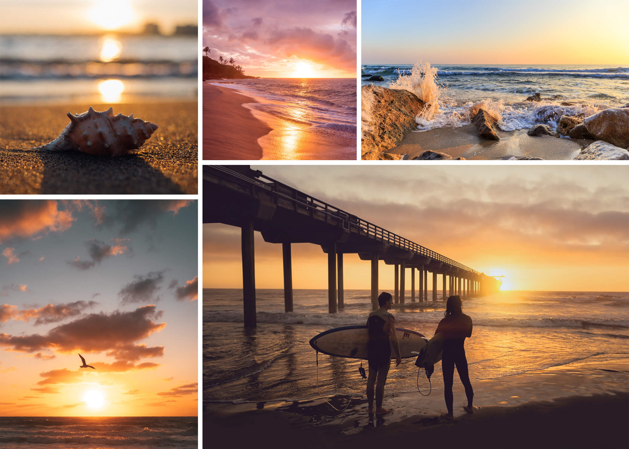 Must-Have Beach Day Shots - Printique, An Adorama Company