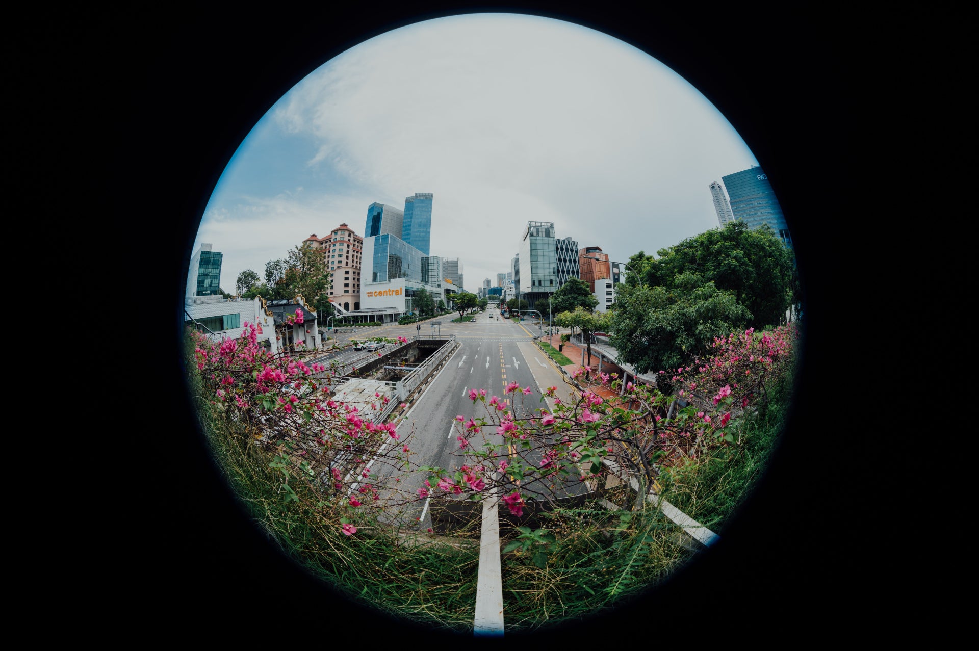 5 Photographs for Stunning Circle Prints - Printique, An Adorama Company