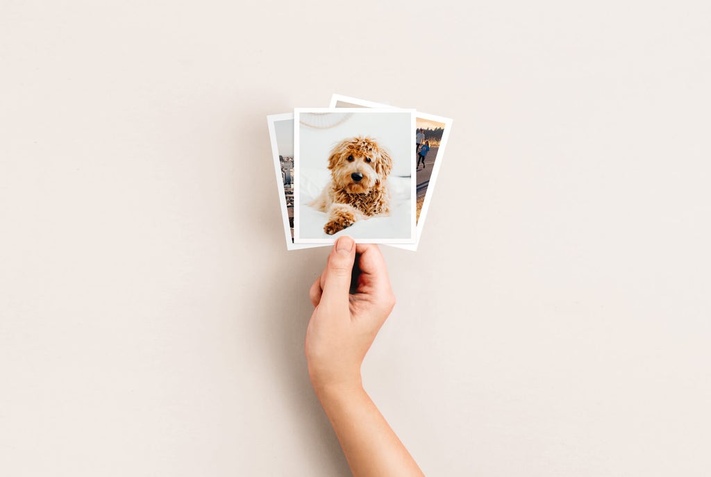 Your $25 Mobile Photography Scrapbook - Printique