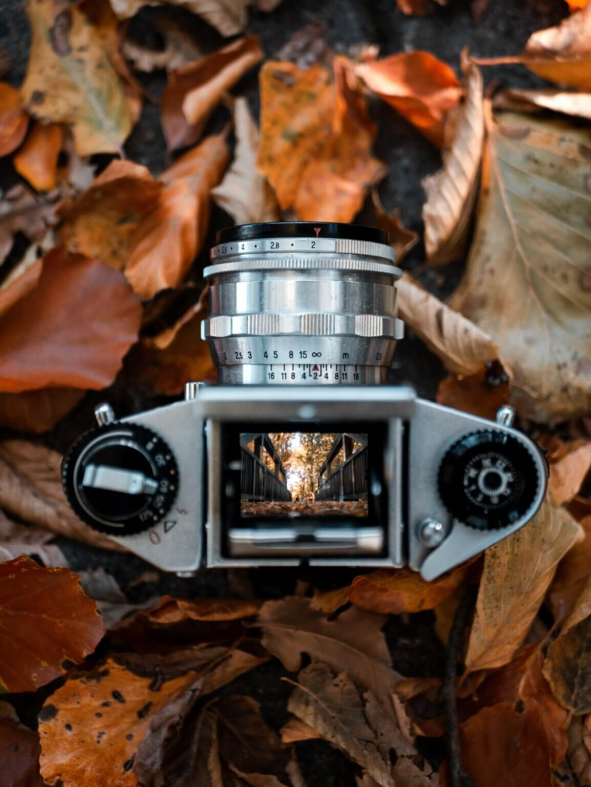 12 Mobile Photography Tips - Printique, An Adorama Company