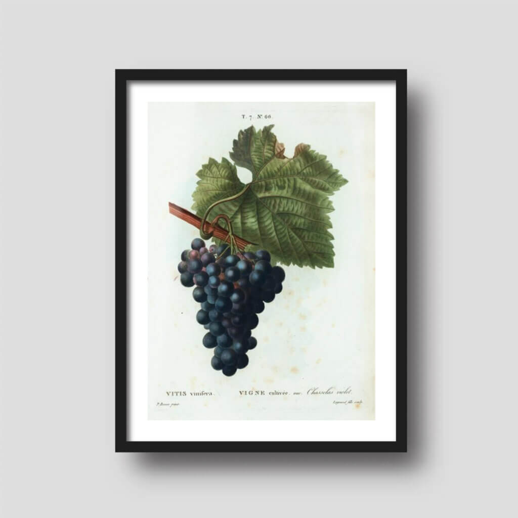 50+ Free Printable Art Downloads - Printique, An Adorama Company