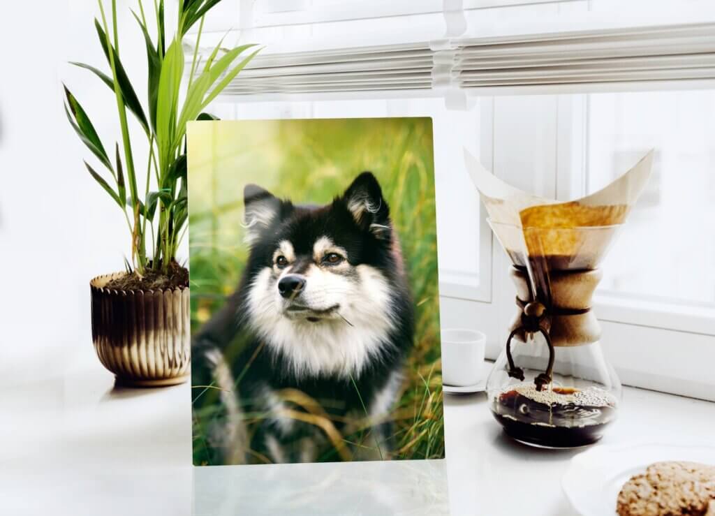 The Best Metal Prints: 5 Tips - Printique, An Adorama Company