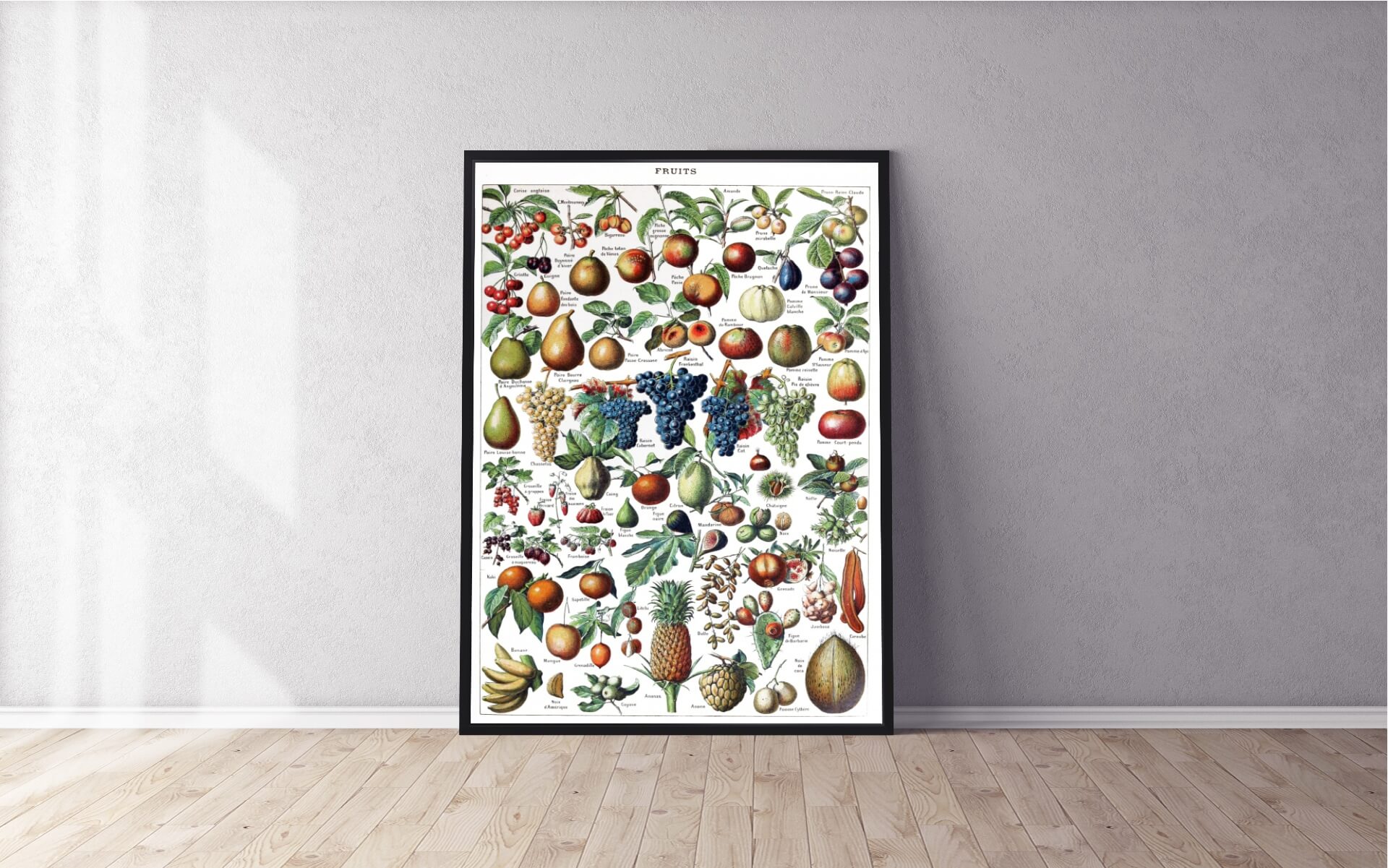 Free-to-Print Educational Posters - Printique, An Adorama Company