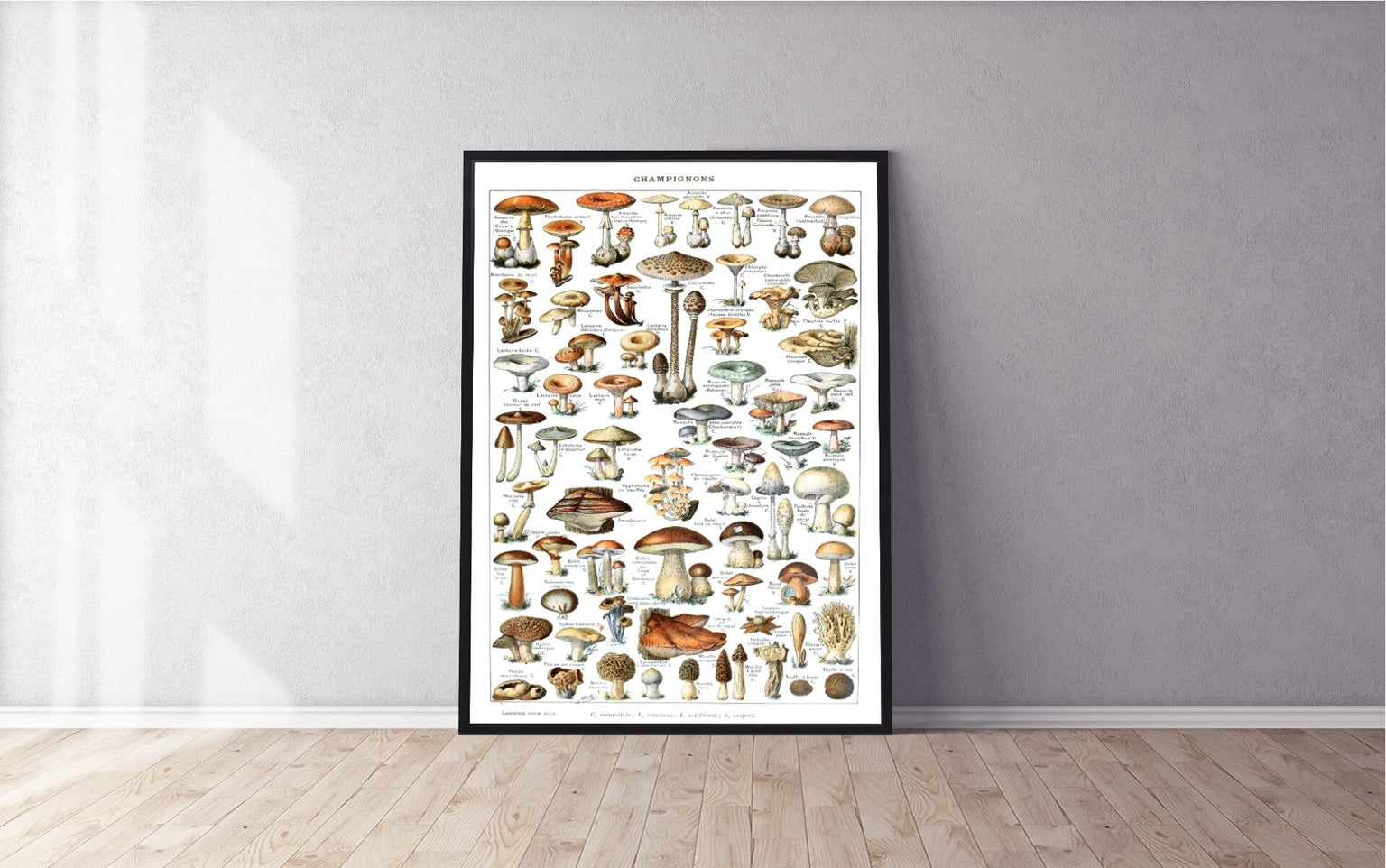 Free-to-Print Educational Posters - Printique, An Adorama Company