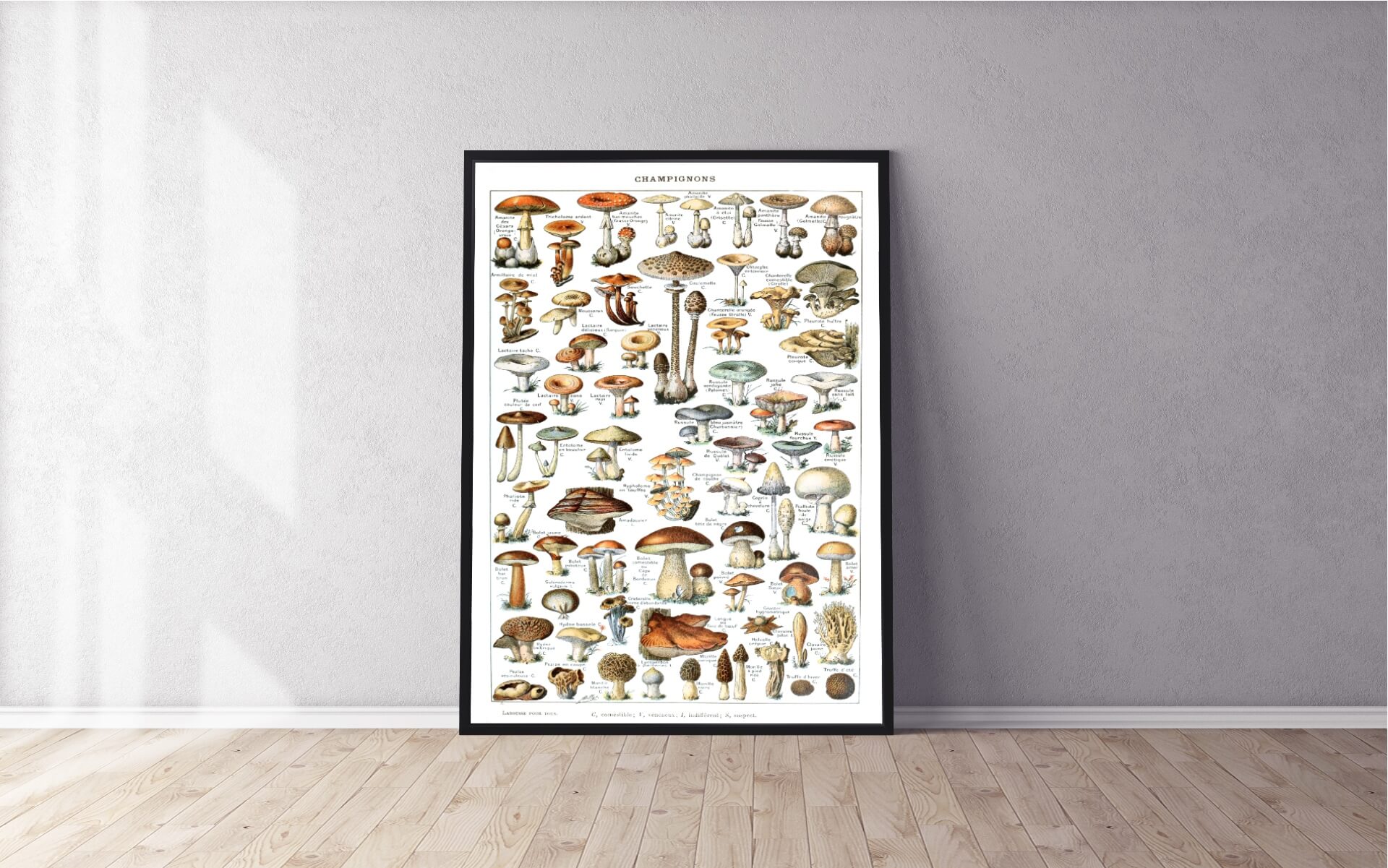 Free-to-Print Educational Posters - Printique, An Adorama Company