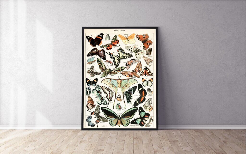 Free-to-Print Educational Posters - Printique, An Adorama Company