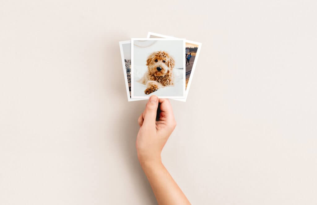 5 Tips for Ordering Your First Prints - Printique, An Adorama Company