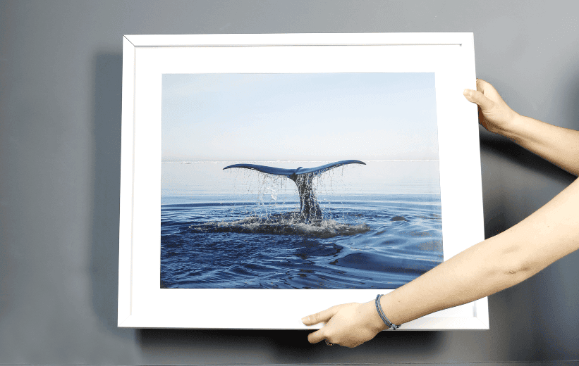 The Guide to Image Quality - Printique, An Adorama Company