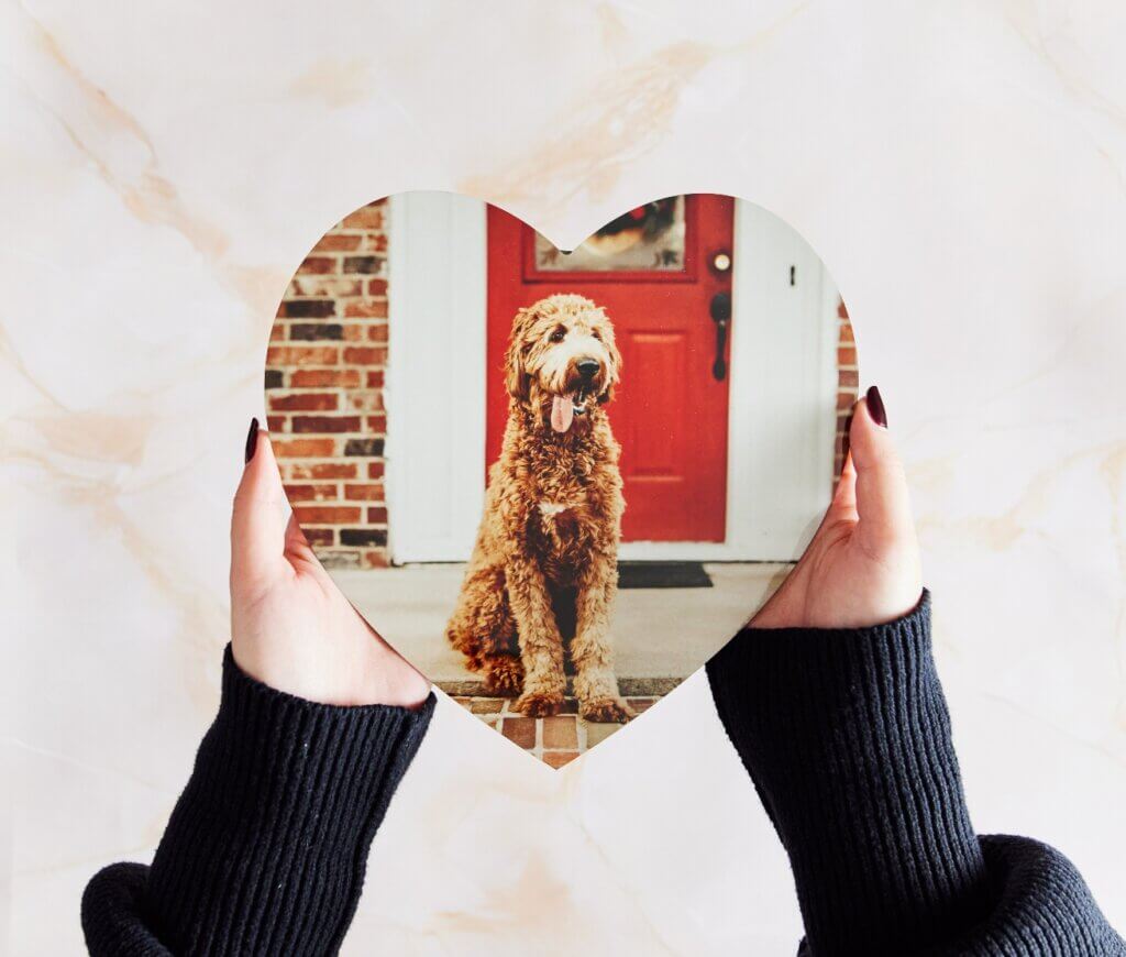 Can’t-Miss Wall Décor: A Guide - Printique, An Adorama Company