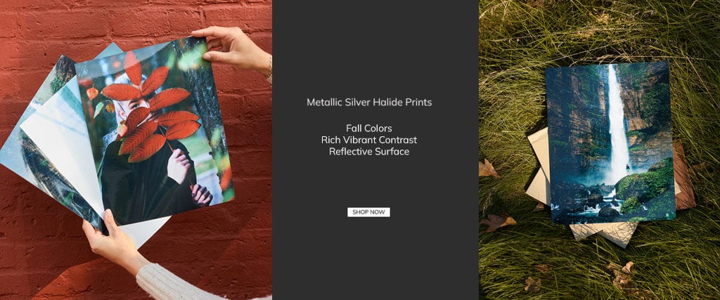 The Ultimate Guide | Metallic Photo Paper - Printique, An Adorama Company