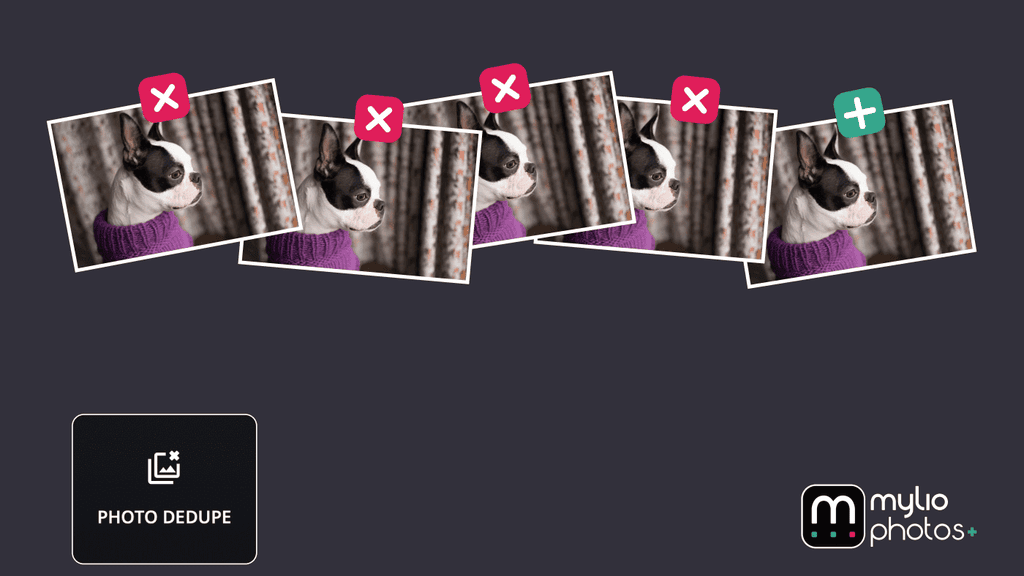 Declutter Your Camera Roll: Keep What Matters - Printique