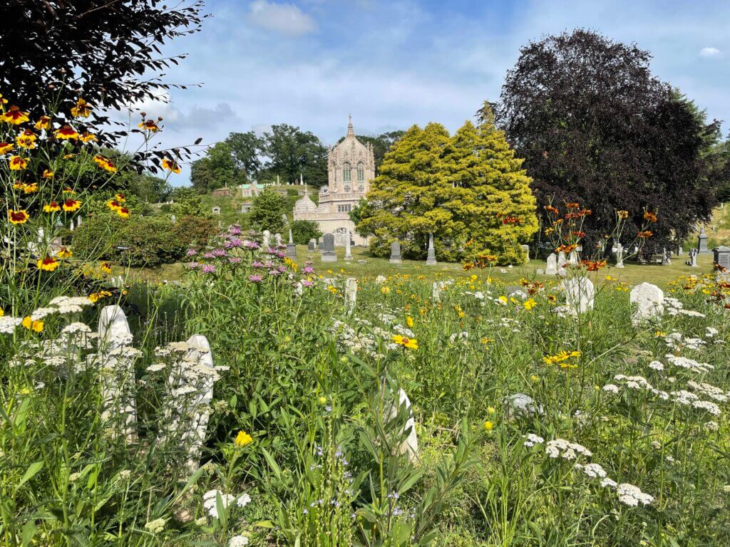 A Moment in Time: Photo Contest - Printique, An Adorama Company